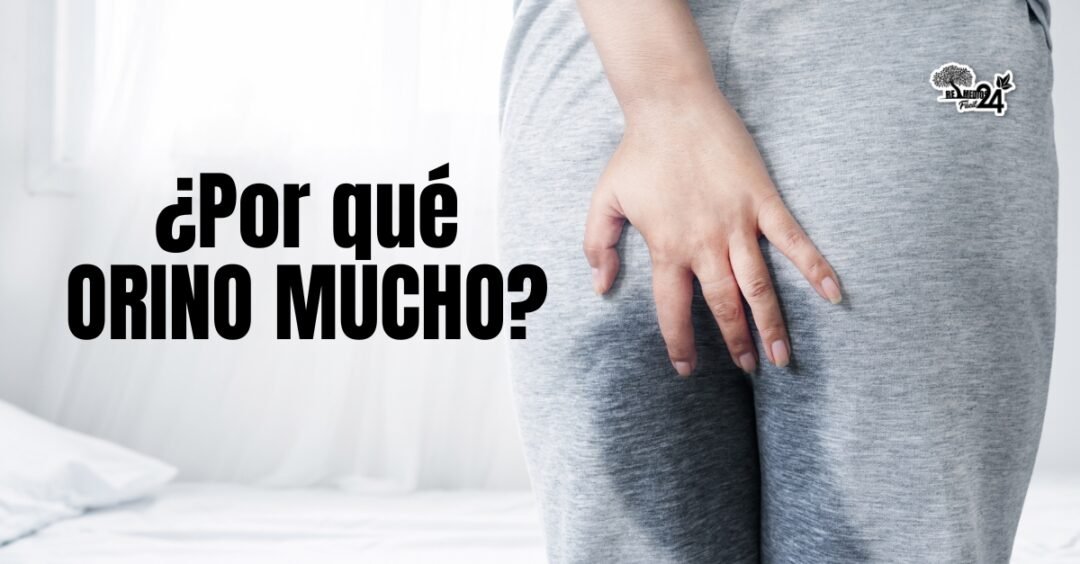 💦 ¿Por qué ORINO MUCHO? - 7 Razones por las que estás ORINANDO ...